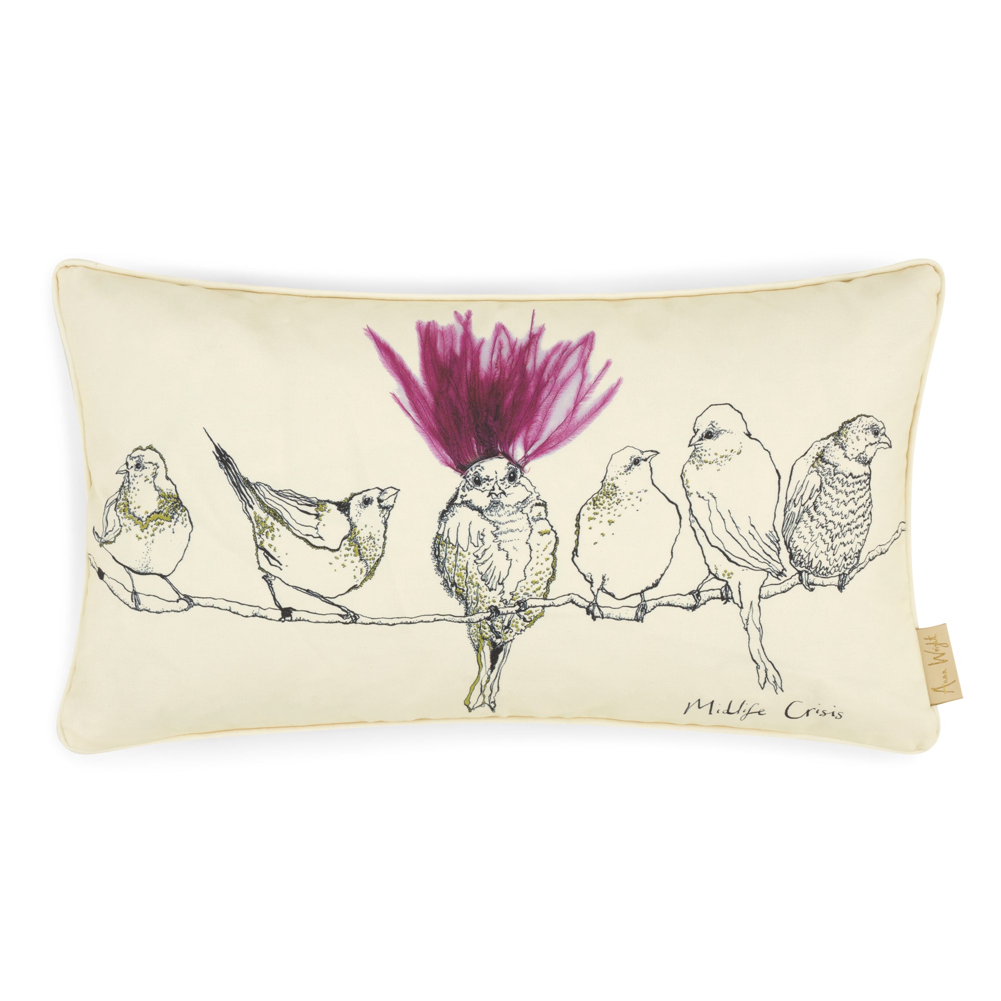Midlife Crisis Bird Cushion – Anna Wright Ltd