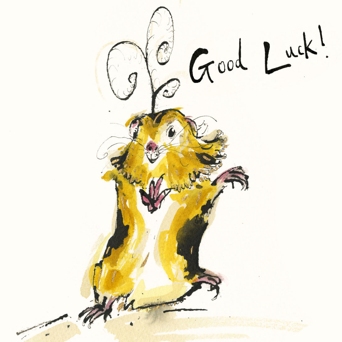 Good Luck Guinea Pig Card – Anna Wright Ltd