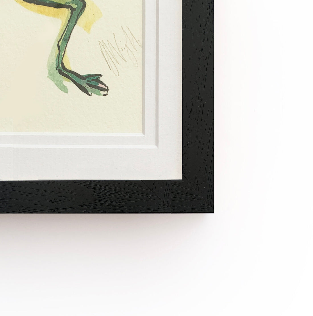 Splish Splosh Turtle Print – Anna Wright Ltd