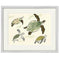 Splish Splosh Turtle Print – Anna Wright Ltd