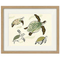 Splish Splosh Turtle Print – Anna Wright Ltd